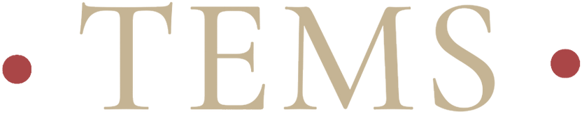 Tems | Official Store